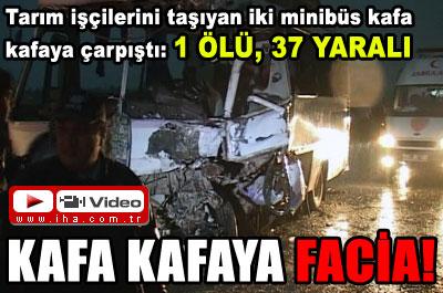 Kafa Kafaya Facia!
